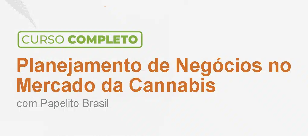 Planejamento de Negócios no Mercado da Cannabis - Mapannabis